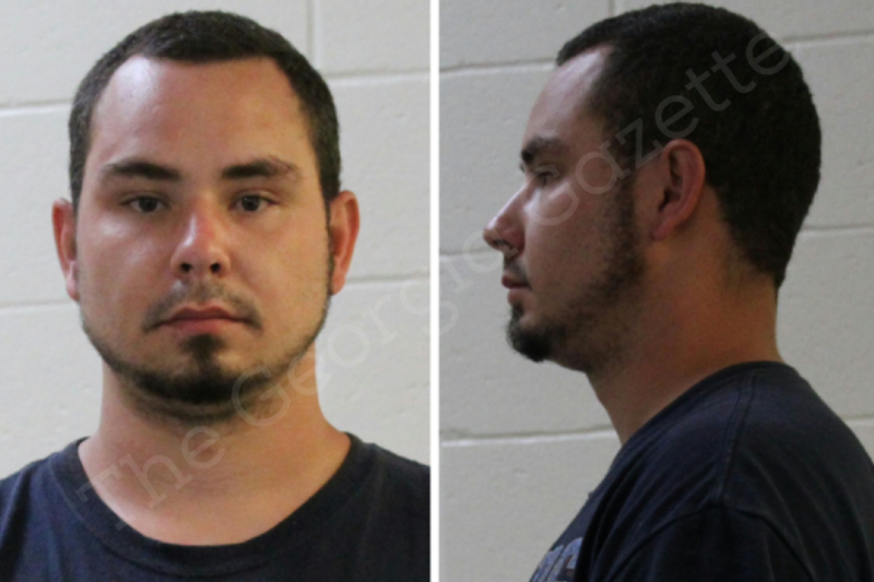 Bryan Gray — Houston County Jail Bookings