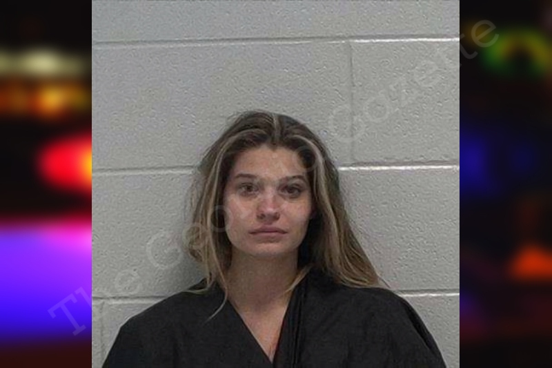 Julia Honea — Carroll County Jail Bookings