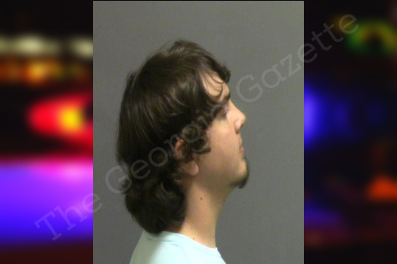 Austin Houser — Glynn County Jail Bookings