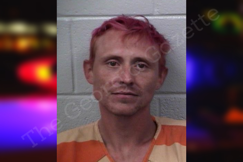 Aaron Johnson — Paulding County Jail Bookings