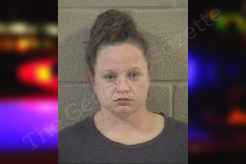 Katie Lanier — Whitfield County Jail Bookings