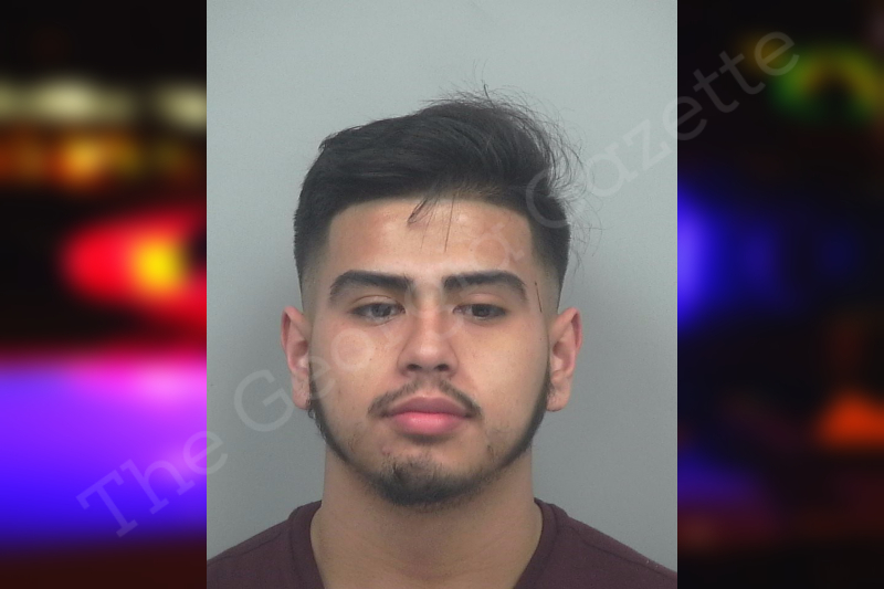 Anthony Mejia — Gwinnett County Jail Bookings