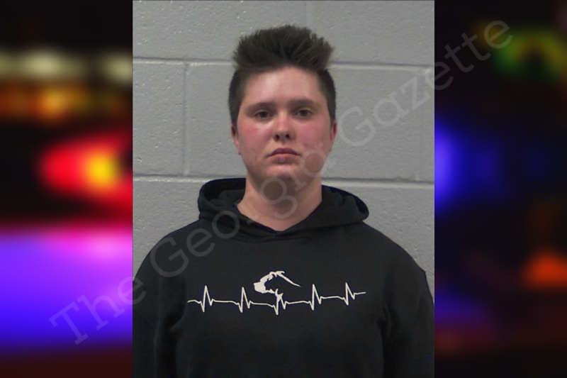 Kathryn Mull — Gilmer County Jail Bookings