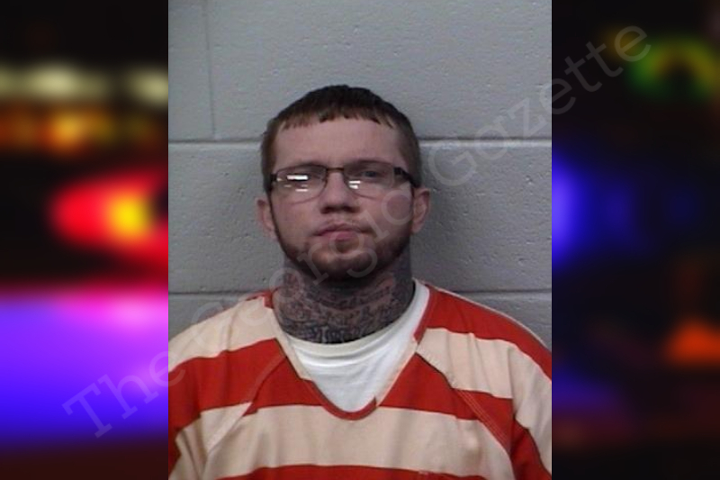 Dustin Mullins — Paulding County Jail Bookings