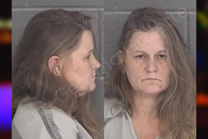 Wanda Maddox — Barrow County Jail Bookings