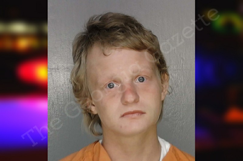 Mariah Stanfield — Bibb County Jail Bookings