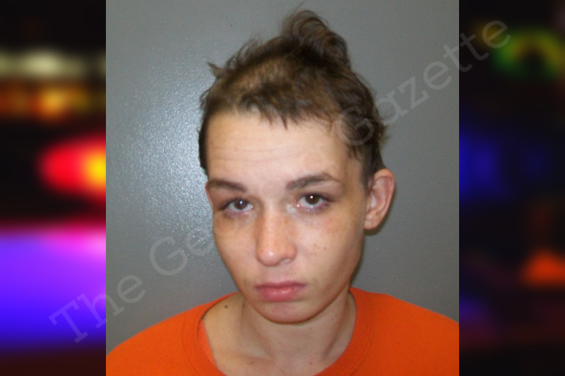 Jamie Morrison — Cherokee County Jail Bookings