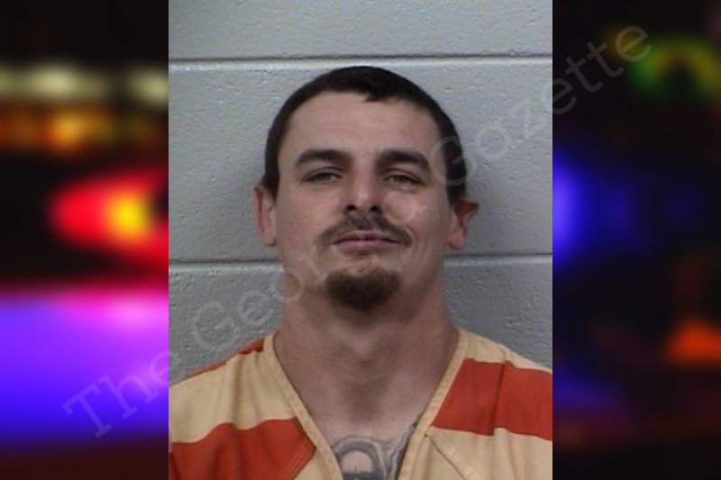 Robert Patton — Paulding County Jail Bookings
