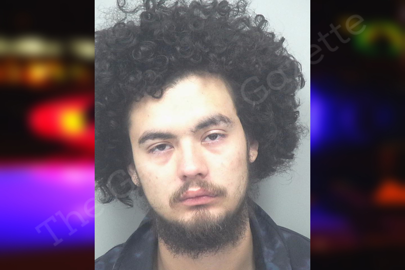 Nelson Portillo — Gwinnett County Jail Bookings