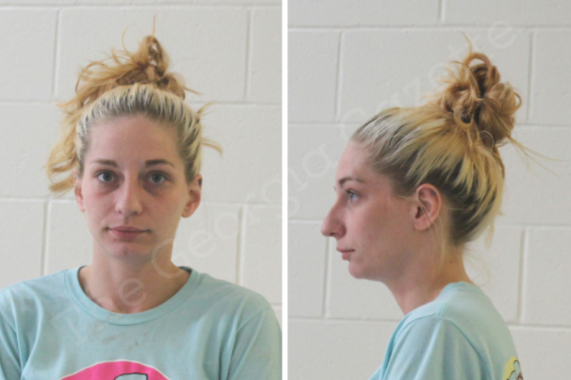 Emily Patel — Houston County Jail Bookings