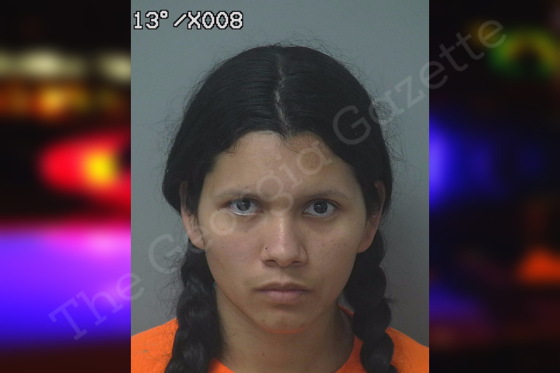 Andrea Rodriguez — Gwinnett County Jail Bookings