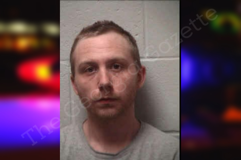 Jacob Raines — Henry County Jail Bookings
