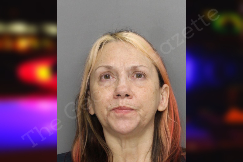 Lisa Remson — Cobb County Jail Bookings