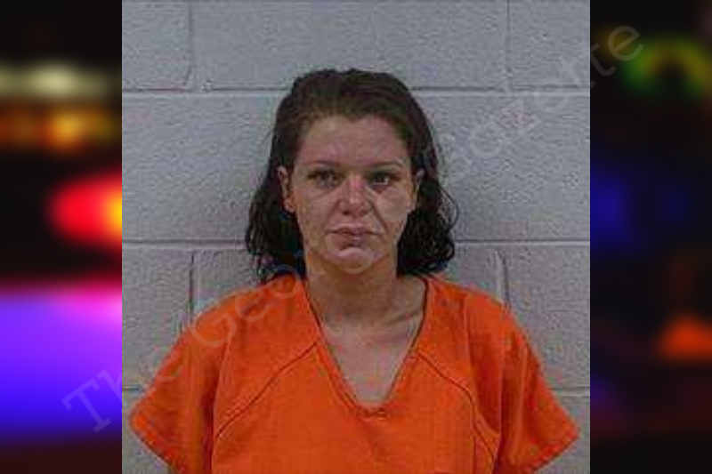 Brittany Roden — Polk County Jail Bookings