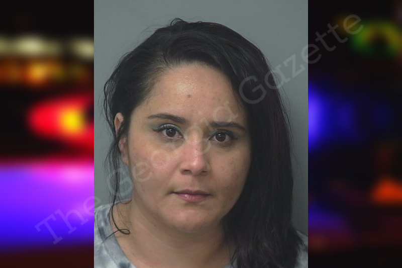 Norma Sanchez — Gwinnett County Jail Bookings
