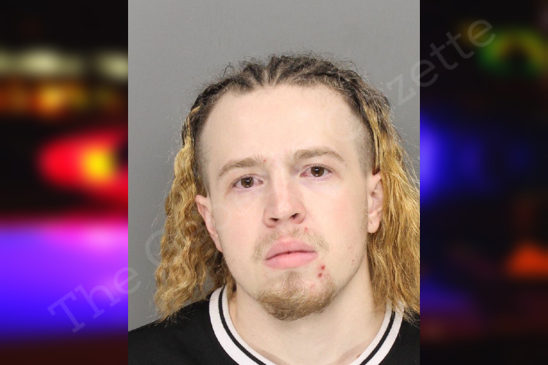 Danny Scales — Cobb County Jail Bookings