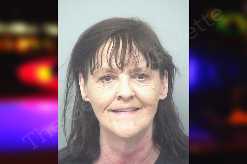Vickie Sisk — Gwinnett County Jail Bookings