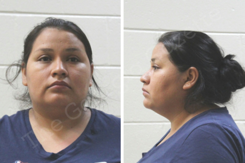 Maria Salcedo-cruz — Houston County Jail Bookings