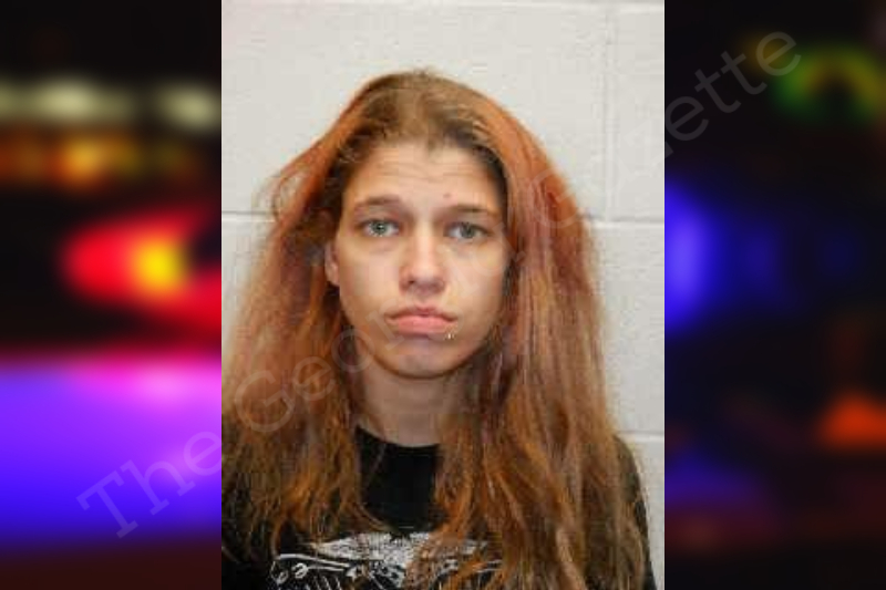 Brittany Smith — Henry County Jail Bookings