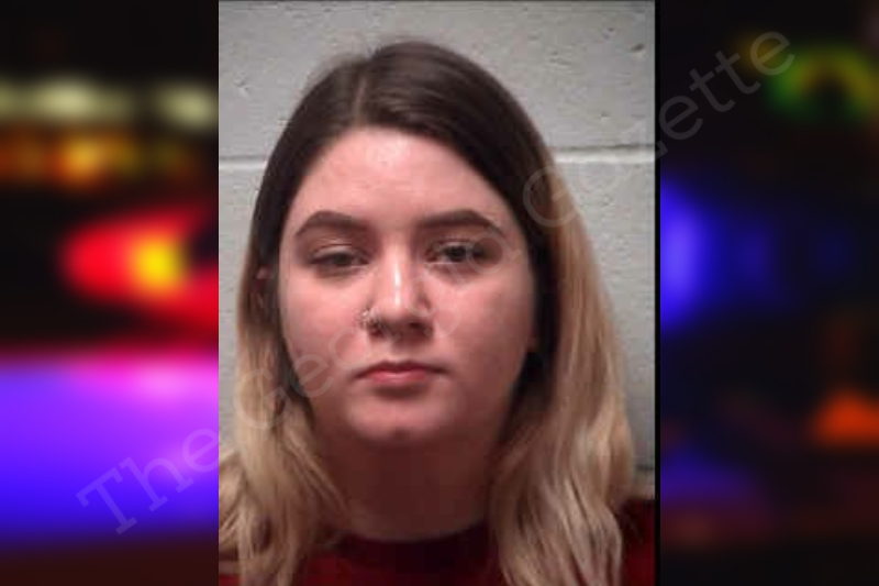 Emileigh Thomas — Henry County Jail Bookings