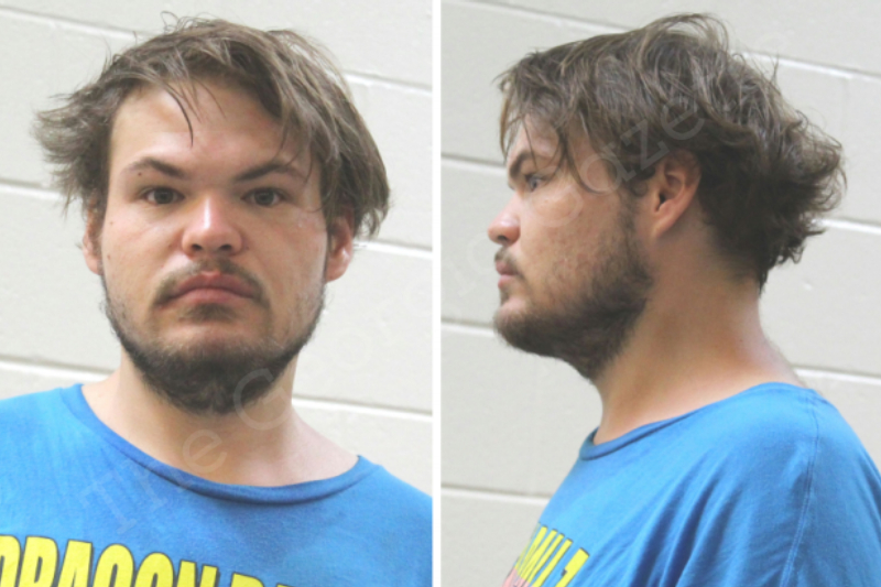 Justin Vinson — Houston County Jail Bookings