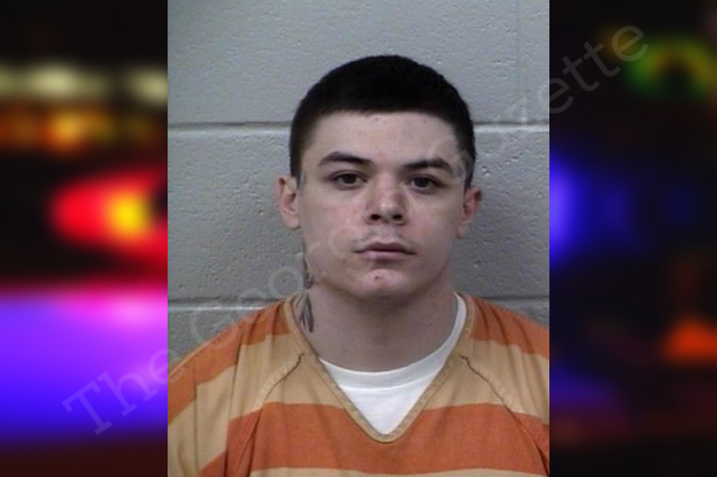 Cj Ward — Paulding County Jail Bookings