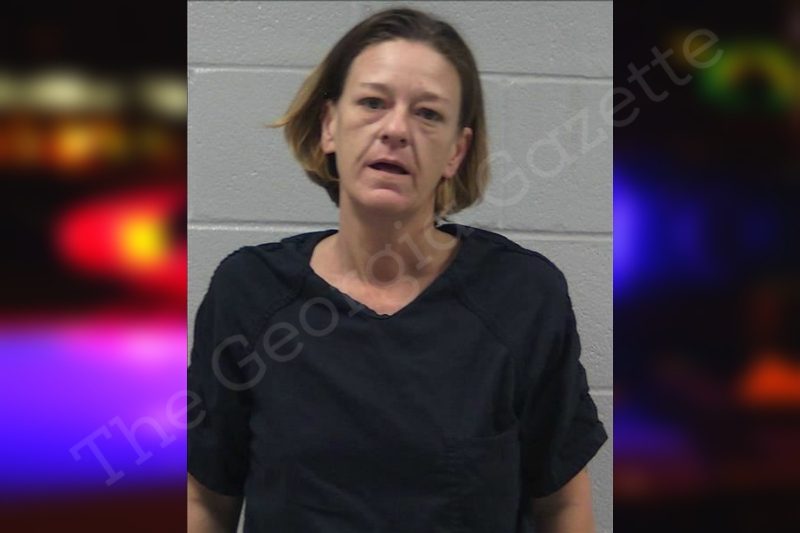 Jennifer Welch — Gilmer County Jail Bookings