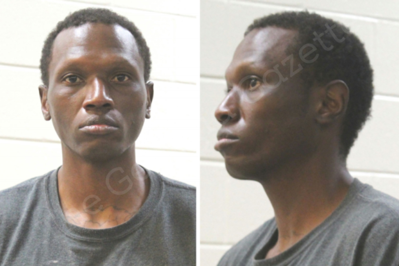 Timothy Ammons — Houston County Jail Bookings