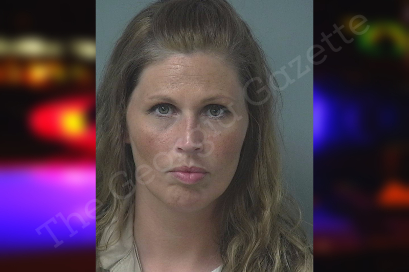 Kristin Barr — Gwinnett County Jail Bookings
