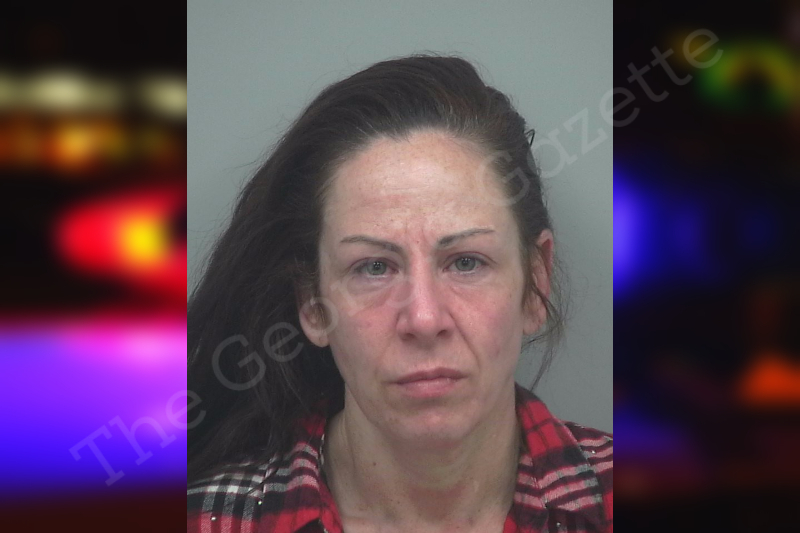 Amy Boone — Gwinnett County Jail Bookings