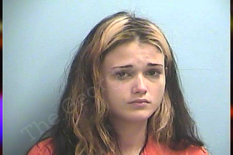 Sabrina Bronson — Dawson County Jail Bookings