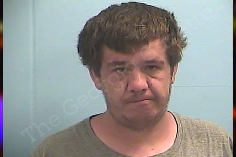 Cory Collins — Dawson County Jail Bookings