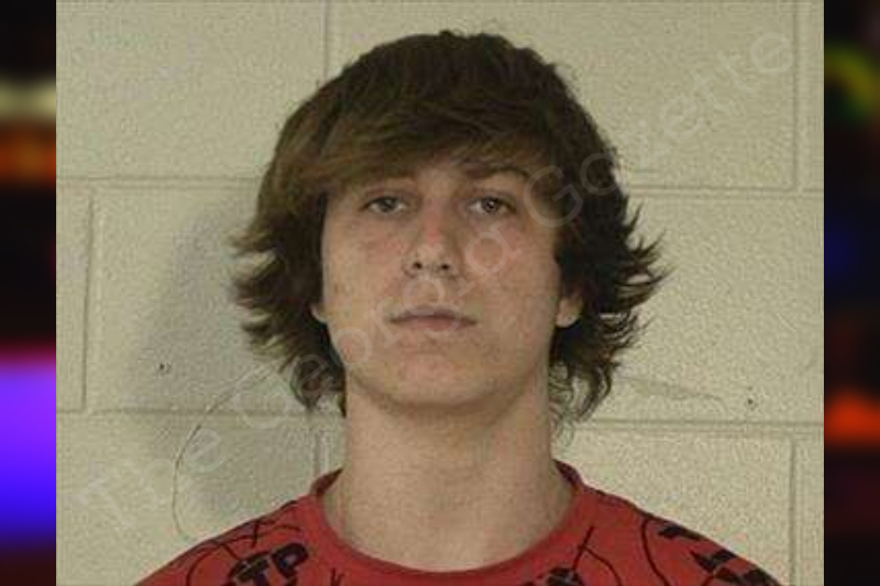 Mason Collins — Liberty County Jail Bookings