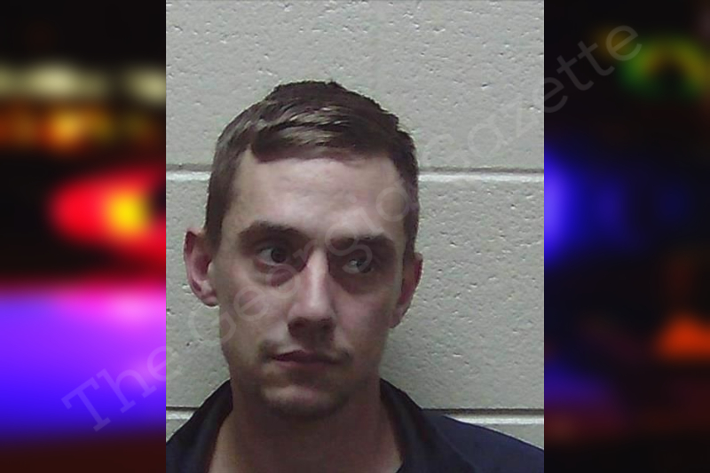 Jordan Dagley — Haralson County Jail Bookings