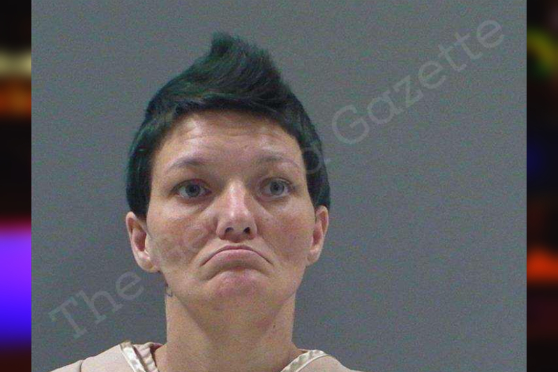 Jennifer Dillard — Rabun County Jail Bookings