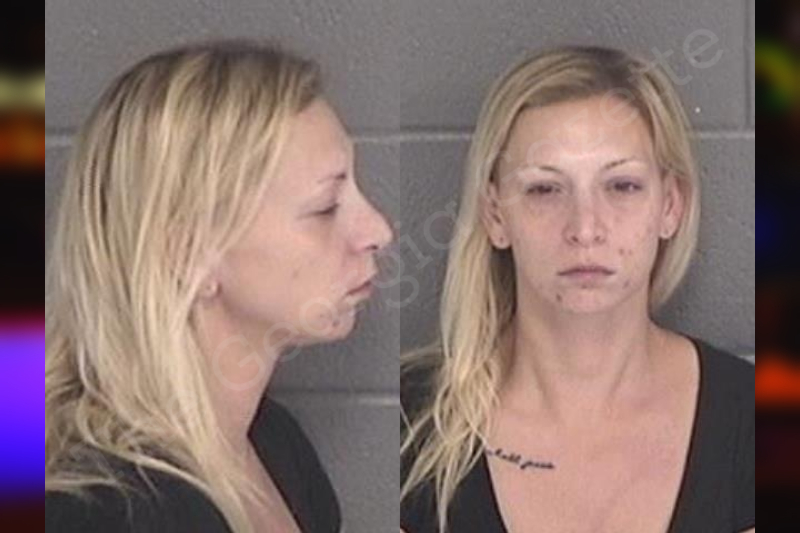 Hollie Dubnik — Barrow County Jail Bookings