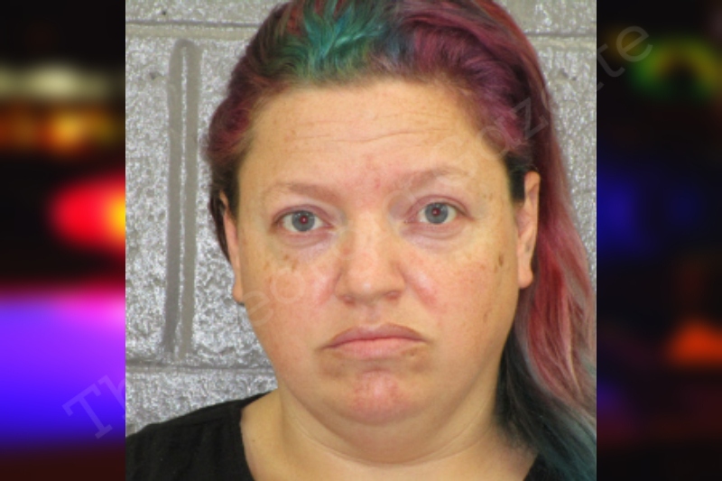 Patricia Turpin | Banks County Jail Bookings