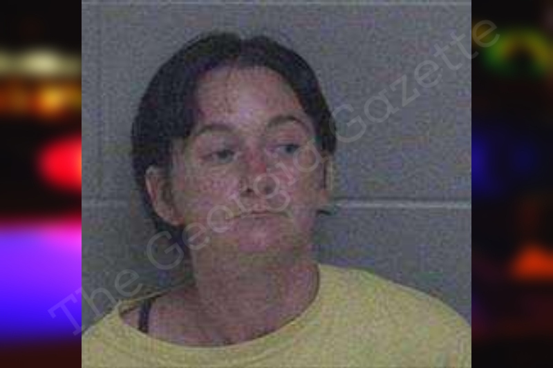 Haley Hood — Morgan County Jail Bookings