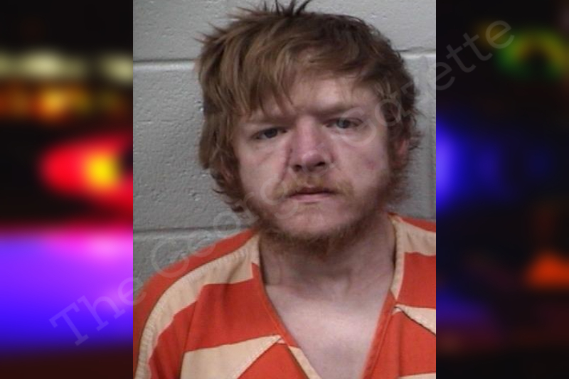 Tyler Jordan — Paulding County Jail Bookings