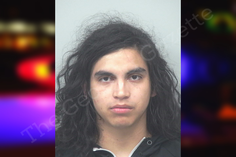 Justin Kicklighter — Gwinnett County Jail Bookings