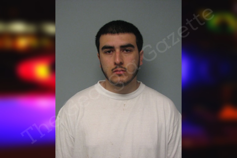 Steven Lane — Hall County Jail Bookings