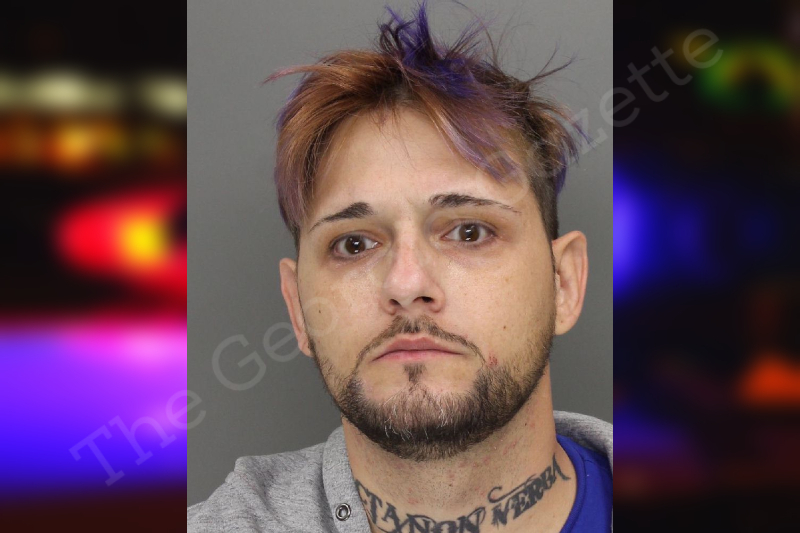 Justin Millette — Cobb County Jail Bookings