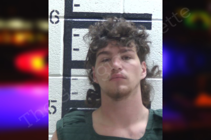 Seth Mathis — Murray County Jail Bookings