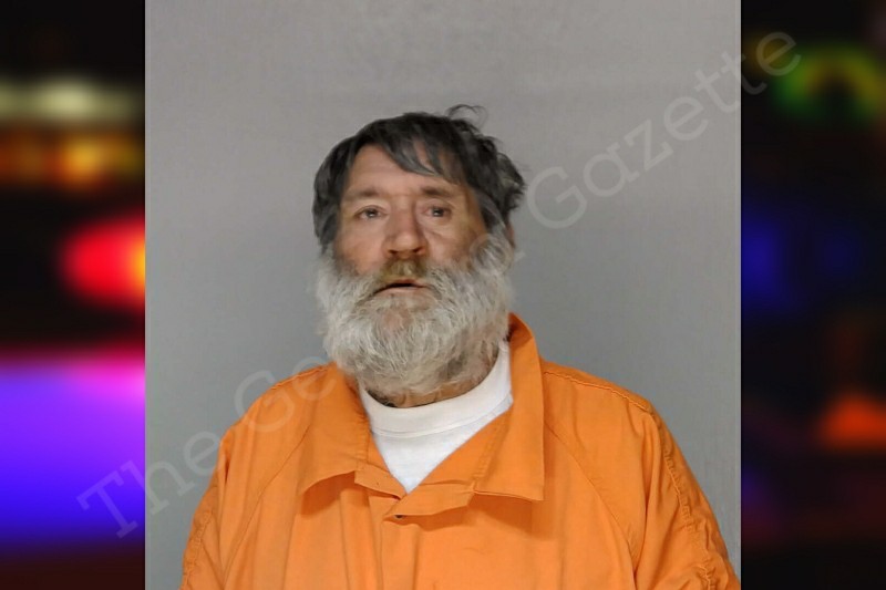 Mitchell Wells — Bibb County Jail Bookings