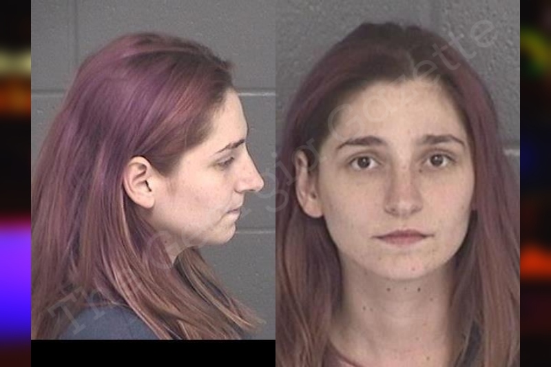 Christi Moore — Barrow County Jail Bookings
