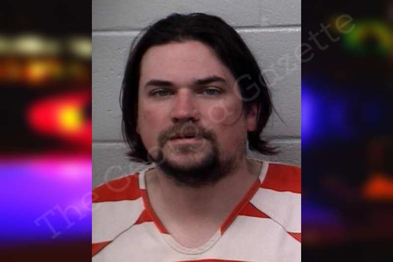 Christopher Palen — Paulding County Jail Bookings