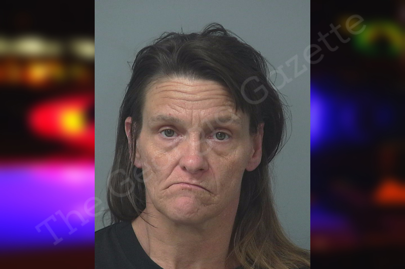Misty Pittman — Gwinnett County Jail Bookings