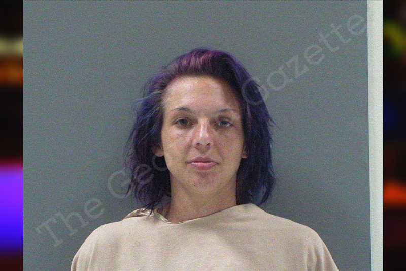 Frances Plummer — Rabun County Jail Bookings