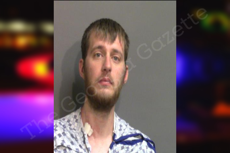 Michael Provenzano — Glynn County Jail Bookings