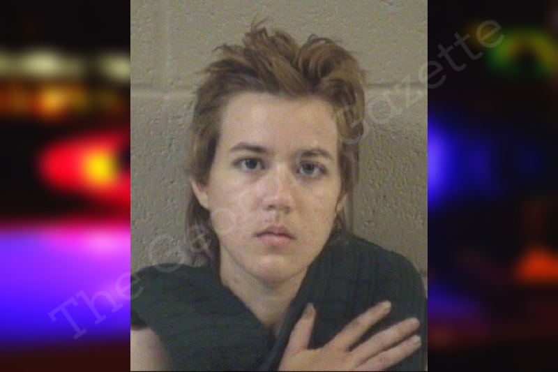 Bethany Riebschlager — Whitfield County Jail Bookings